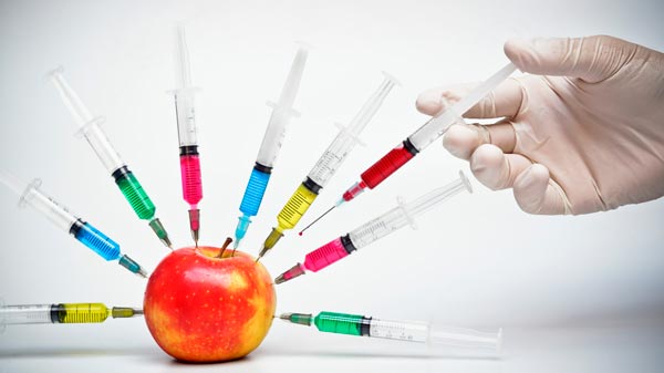 Alimentos Transgênicos: Conheça os Benefícios e Malefícios